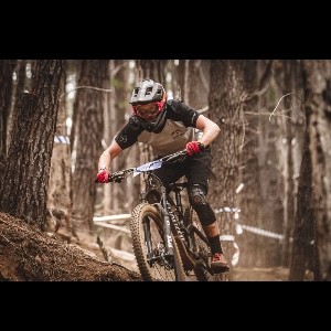 The Perkins - Hayden Harrison