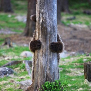 The Perkins - Chris Seidel